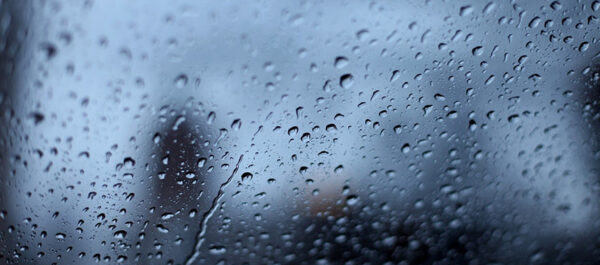 Why is There Fog in Between the Glass in My Windows? | NT Window