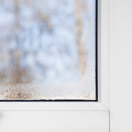 Why Your Windows Are Fogging Up—And What You Can Do About It | NT Window
