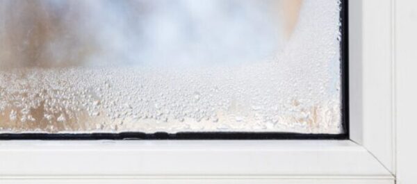 Why Your Windows Are Fogging Up—And What You Can Do About It | NT Window